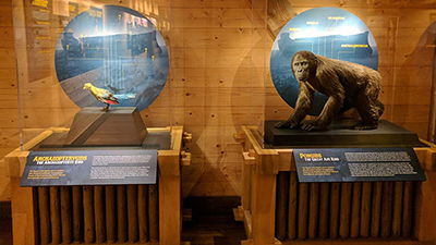 What’s New at the Ark Encounter? | Ark Encounter