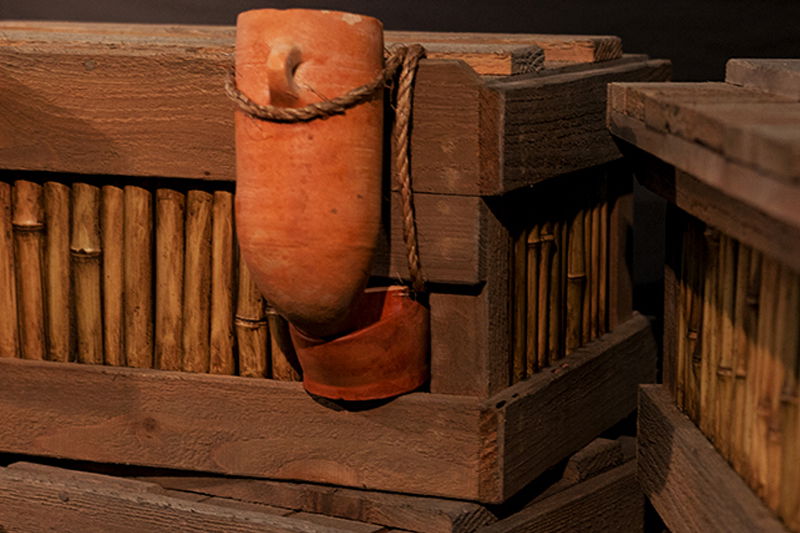 Animals on Noah’s Ark | Ark Encounter